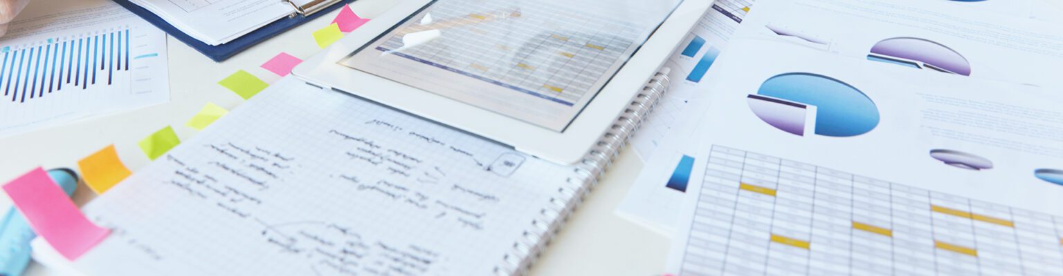 "Find High-Quality Securenet CAT 6 Cables & Patch Cords for Indoor ...